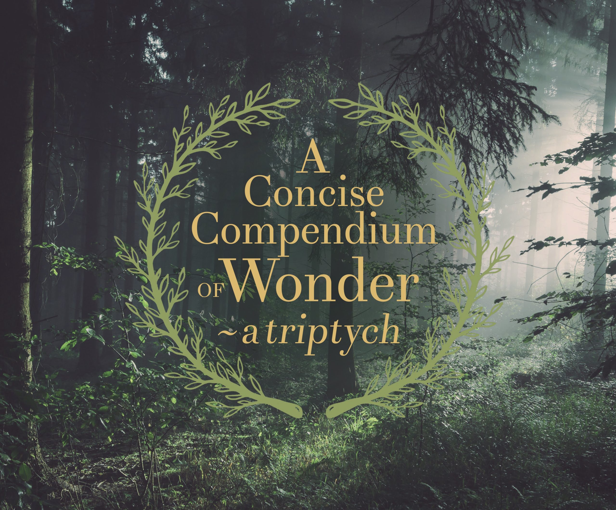 A Concise Compendium of Wonder – Slingsby Theatre Company